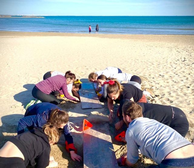 Beach Olympics: Organizing the Ultimate Coastal Games for Fun, Fitness ...